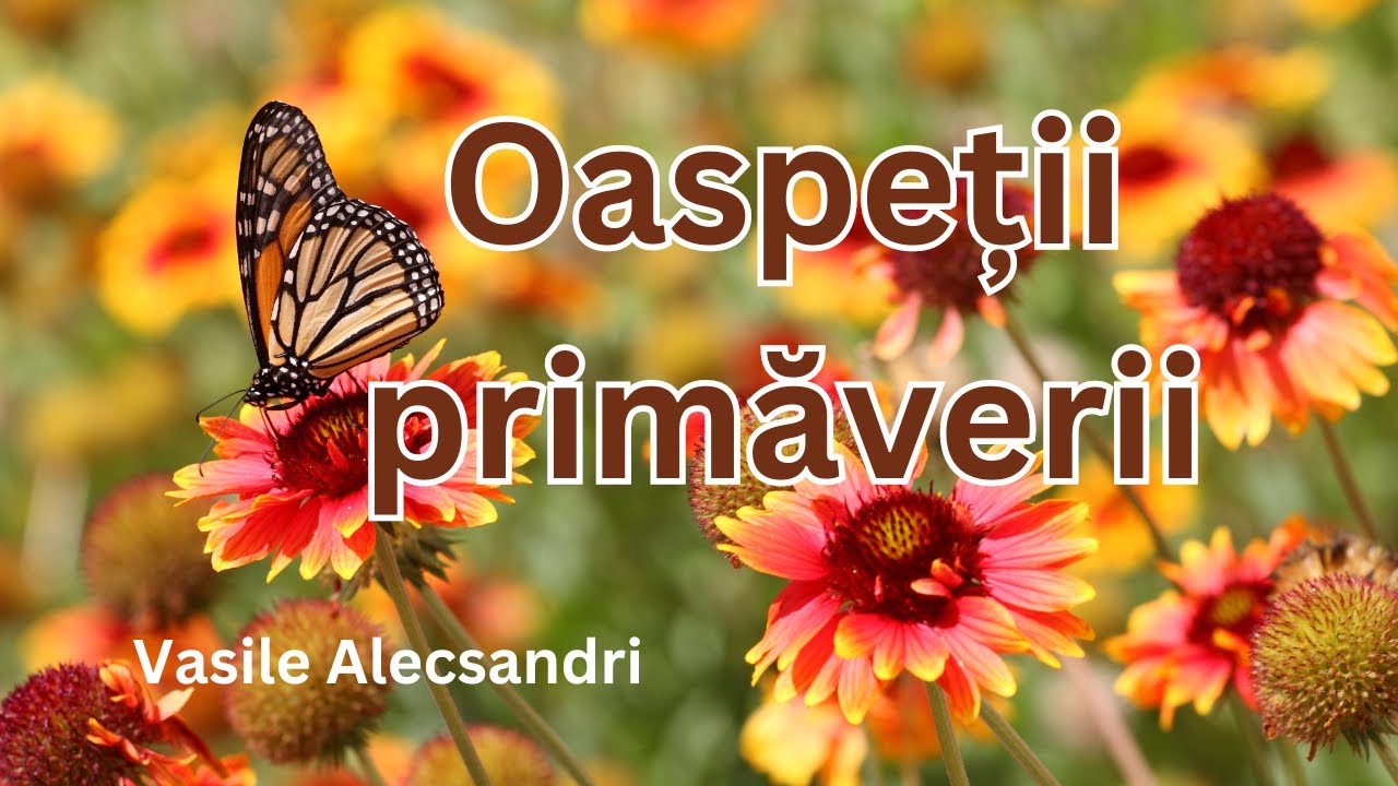Oaspeții Primăverii - Vasile Alecsandri - YouTube