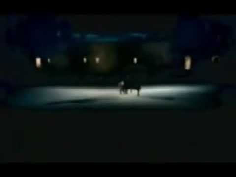 Sami yusuf & Canim Anam.