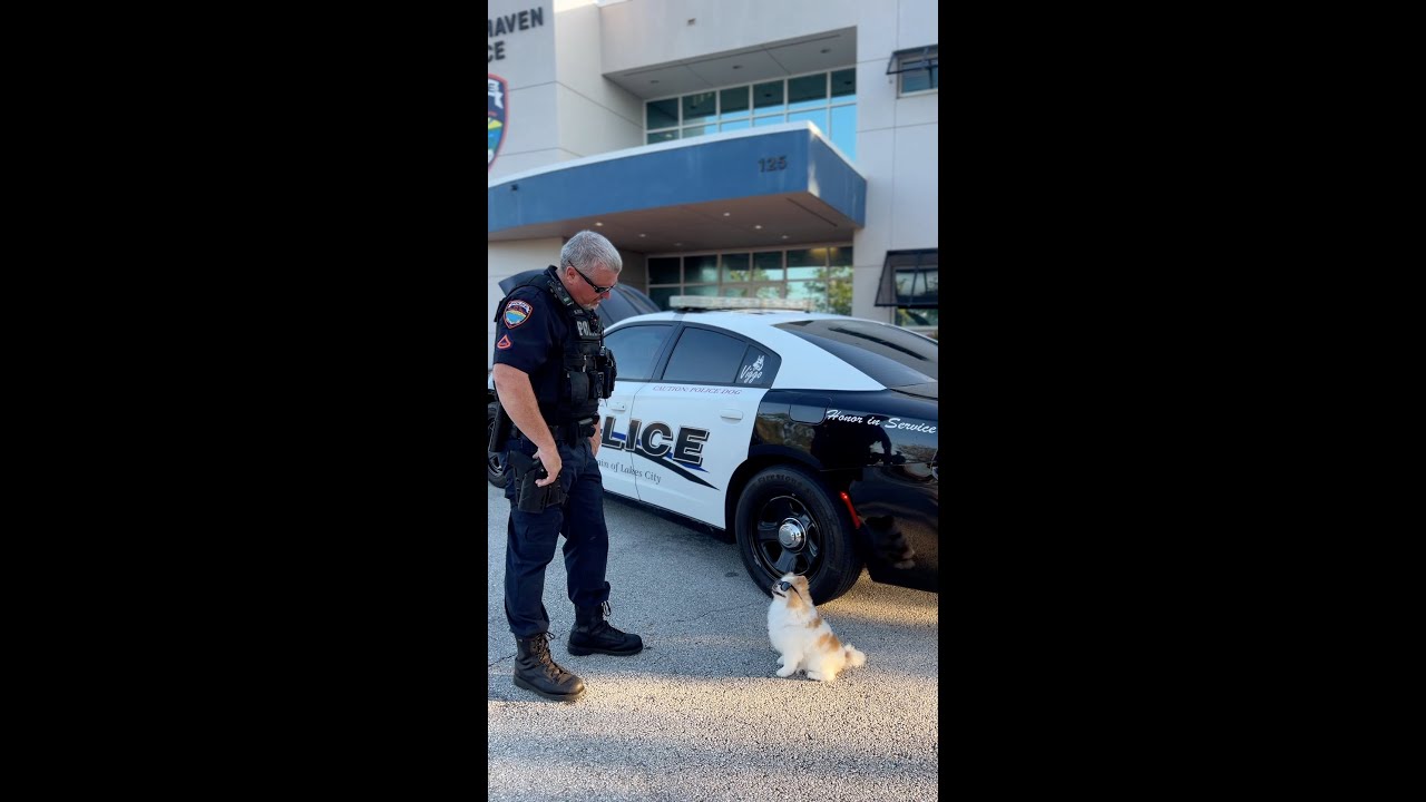 K9 For a Day -Koda Appreciates Police K9's - YouTube