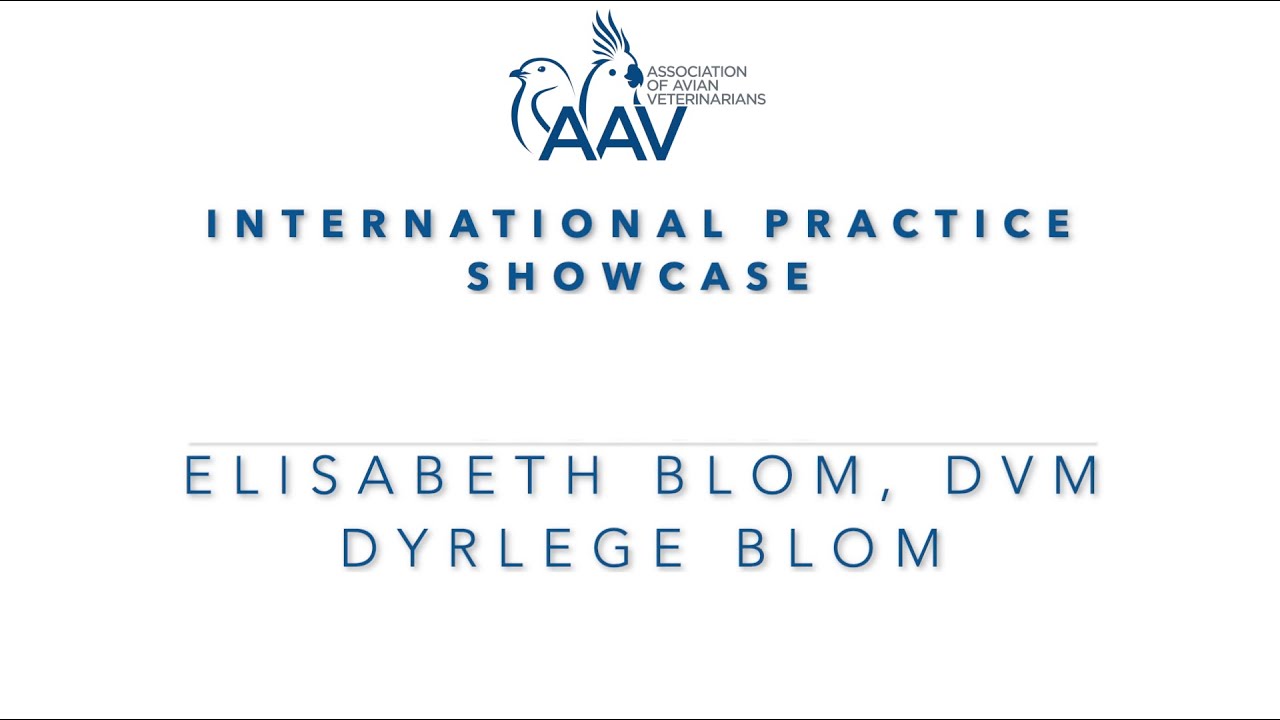 International Practice Showcase: Elisabeth Blom, DVM, Dyrlege Blom ...