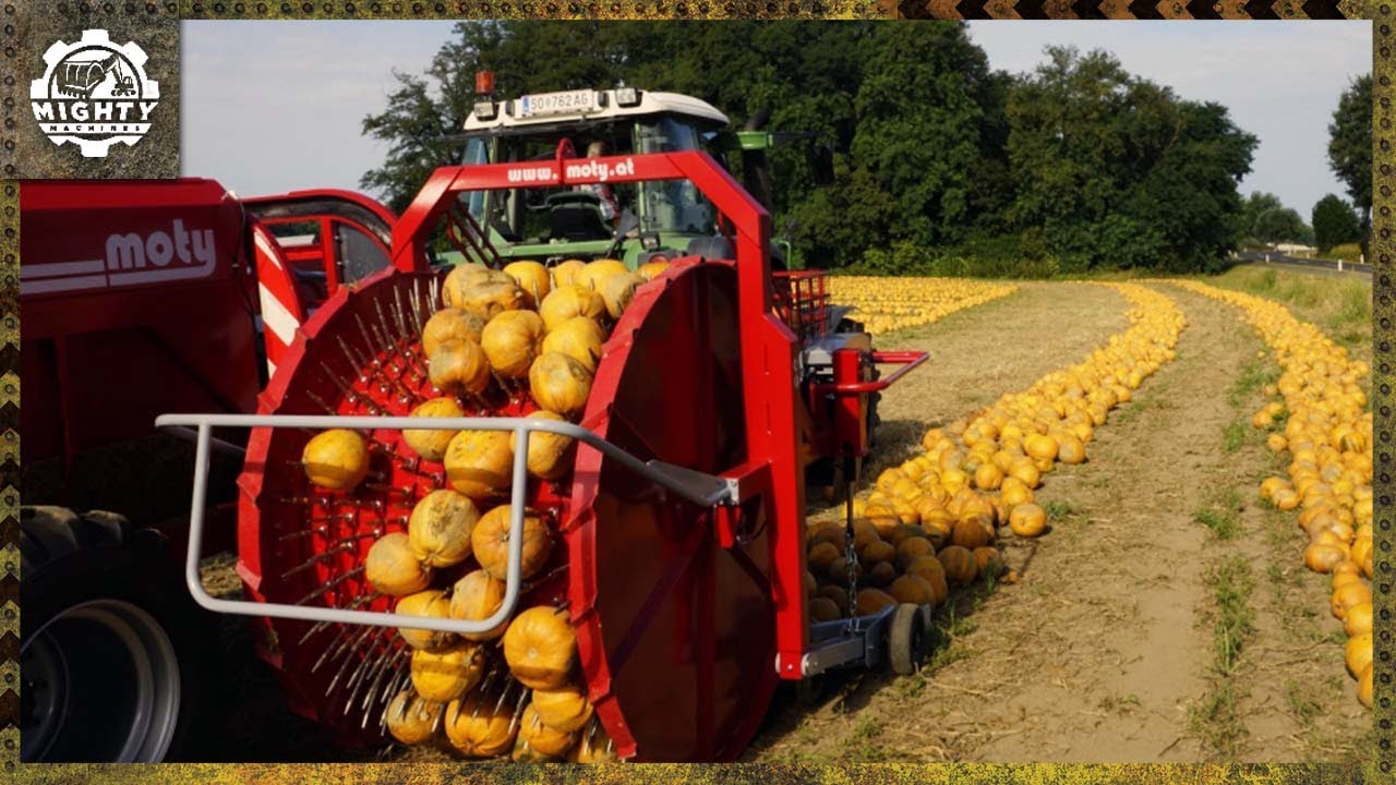 Modern Agriculture Machines You Need To See | Pumpkin Seed Harvesting ...