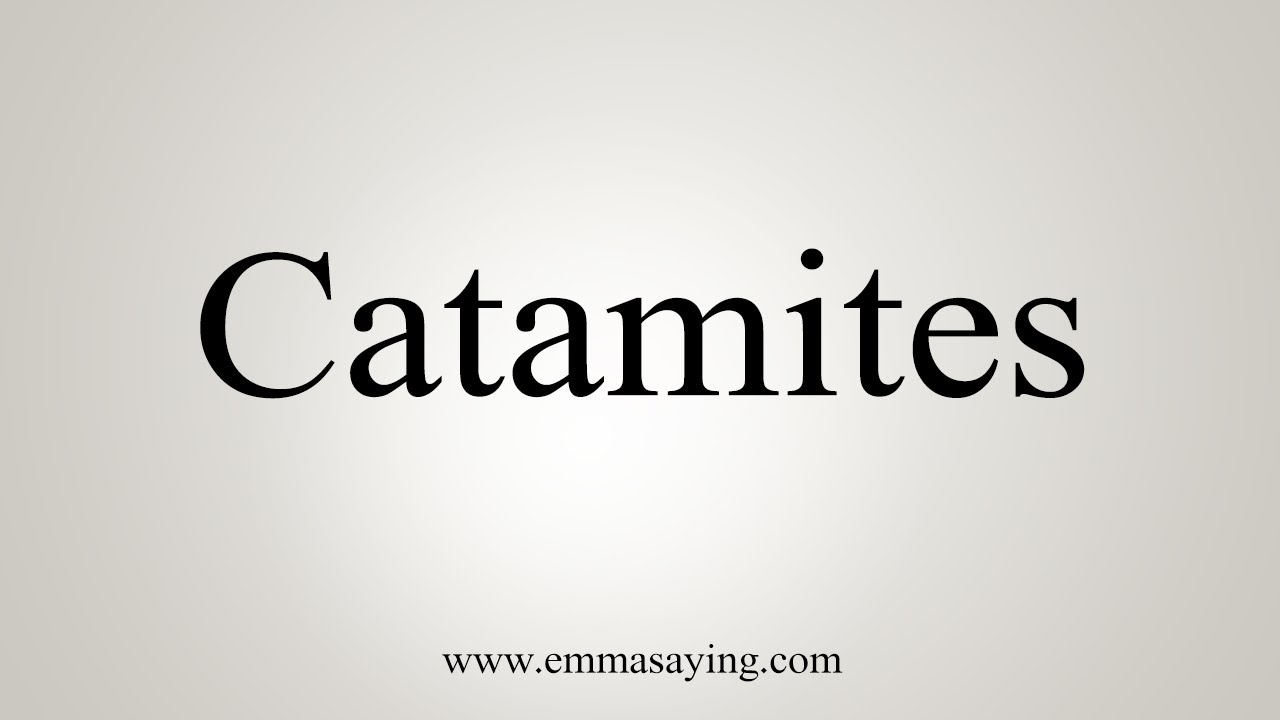 How To Say Catamites - YouTube