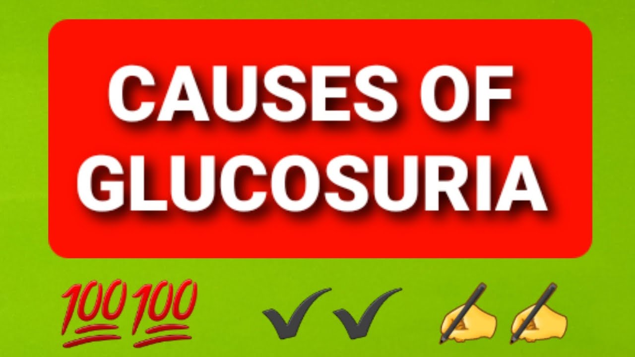 Causes of Glucosuria || Pathology Practical Exam - YouTube