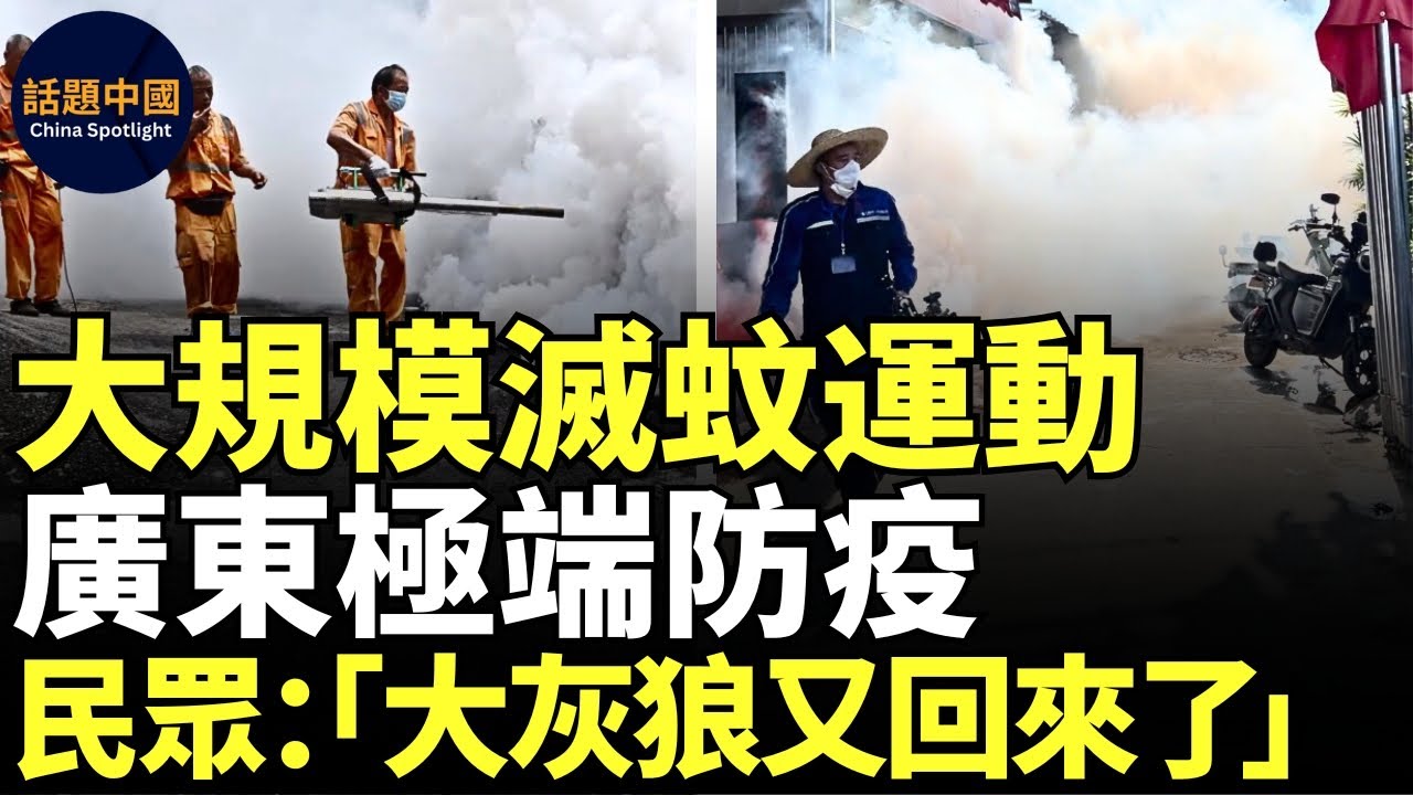 🔥廣東極端防疫，搞大規模全民滅蚊運動，中國民眾紛紛吐槽：「大灰狼又回來了」「一模一樣的套路」「搞運動，他們是專業的」｜佛山下水道裝紗網滅蚊 ...