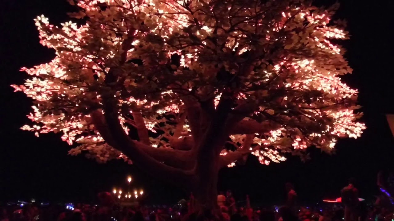 Burning Man 2017 - Tree of Ténéré 3/5 - YouTube