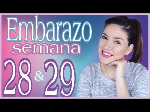 SEMANA 28 Y 29 DE EMBARAZO | DESARROLLO DEL BEBÉ Y CAMBIOS EN EL CUERPO ...