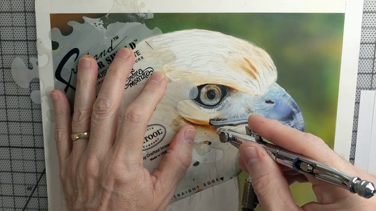How to paint a realistic Hawk... using transparent paints, stencils ...