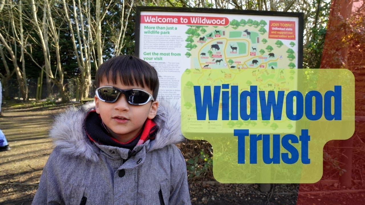 Wildwood Trust - Discovery Park, Canterbury Kent, England - YouTube