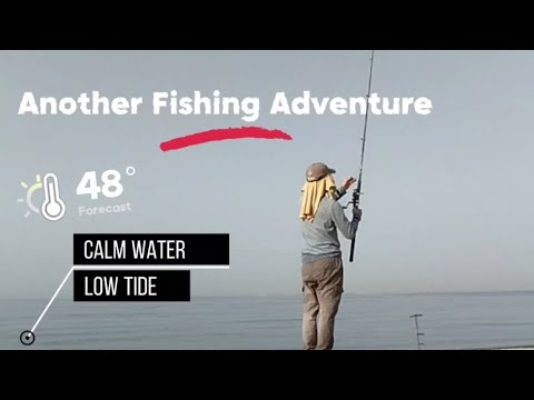 Good Catch • Needle Fish Fishing - YouTube