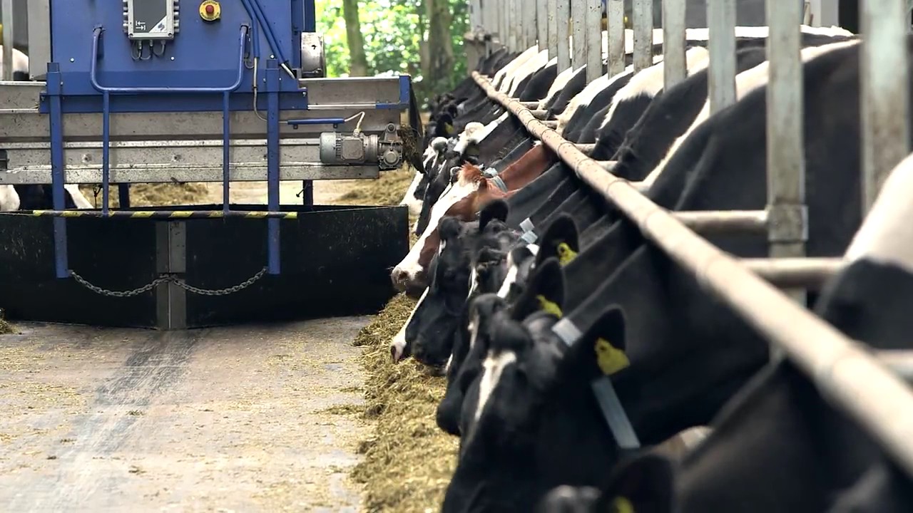 DeLaval Optimat - Automated Feeding System - YouTube