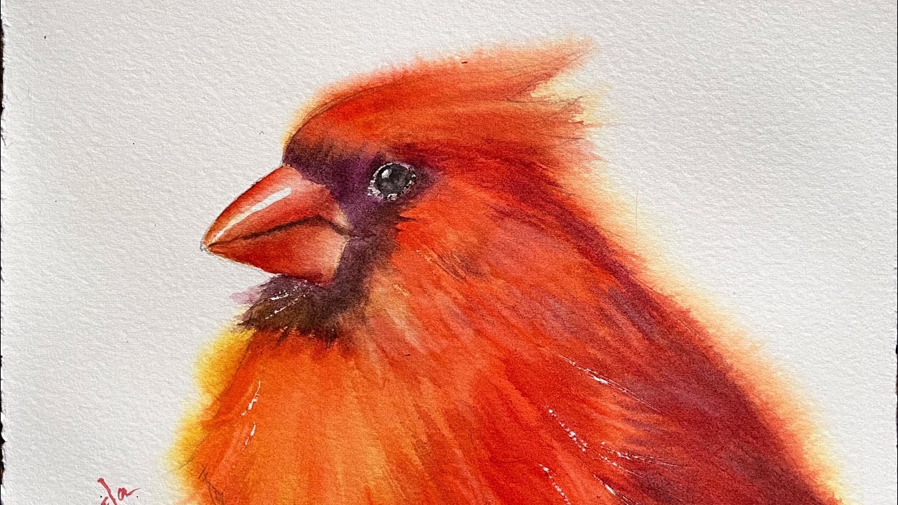 Watercolor Cardinal Painting Tutorial - YouTube