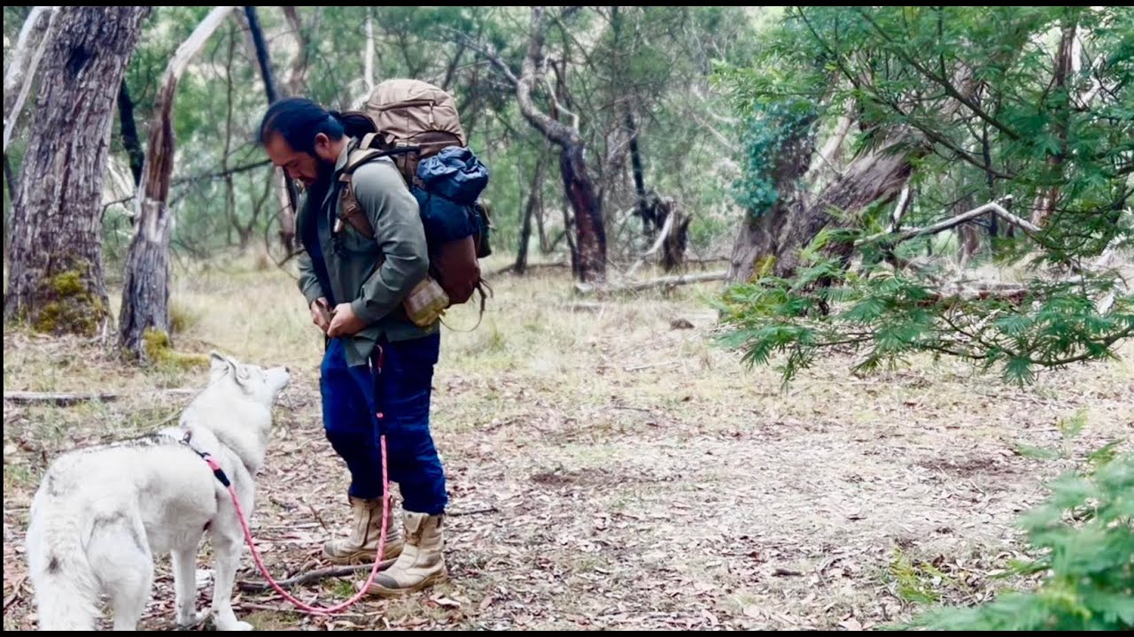 Lets go for a stroll through the woods - YouTube