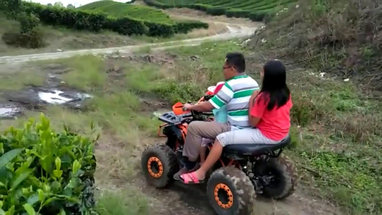 Seru-seruan bermain Motor ATV di kebun teh Sidamanik - YouTube