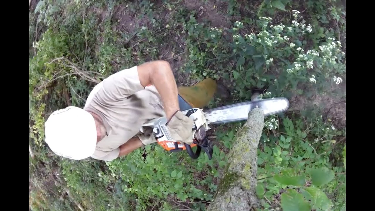 Edge Feathering For Deer - The Management Advantage - YouTube