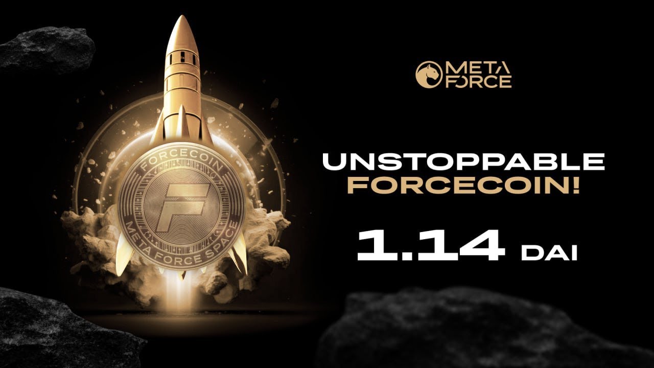 12/02/2024 META~FORCE PLAN PRESENTATION TIGER TEAM INDIA - YouTube