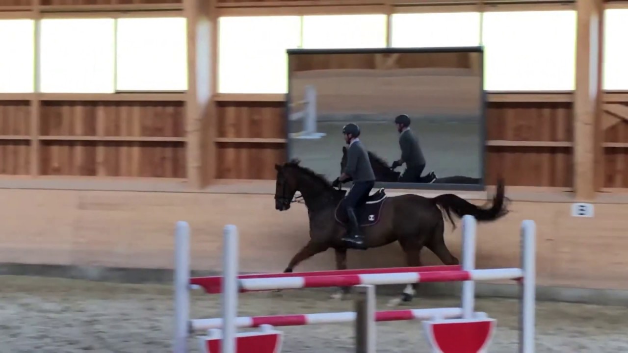 S5/ Springgymnastik Parcours Training, Springfolgen, Hindernisse ...