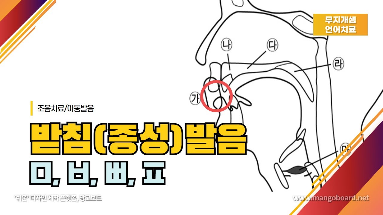 아동발음 조음치료 스피치 종성 ㅁ ㅂ ㅃ ㅍ 발음을 가르치는 방법 Youtube