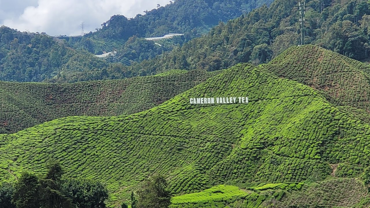 Cameron Highlands (Cameron Valley Tea & Cameron Centrum) - YouTube