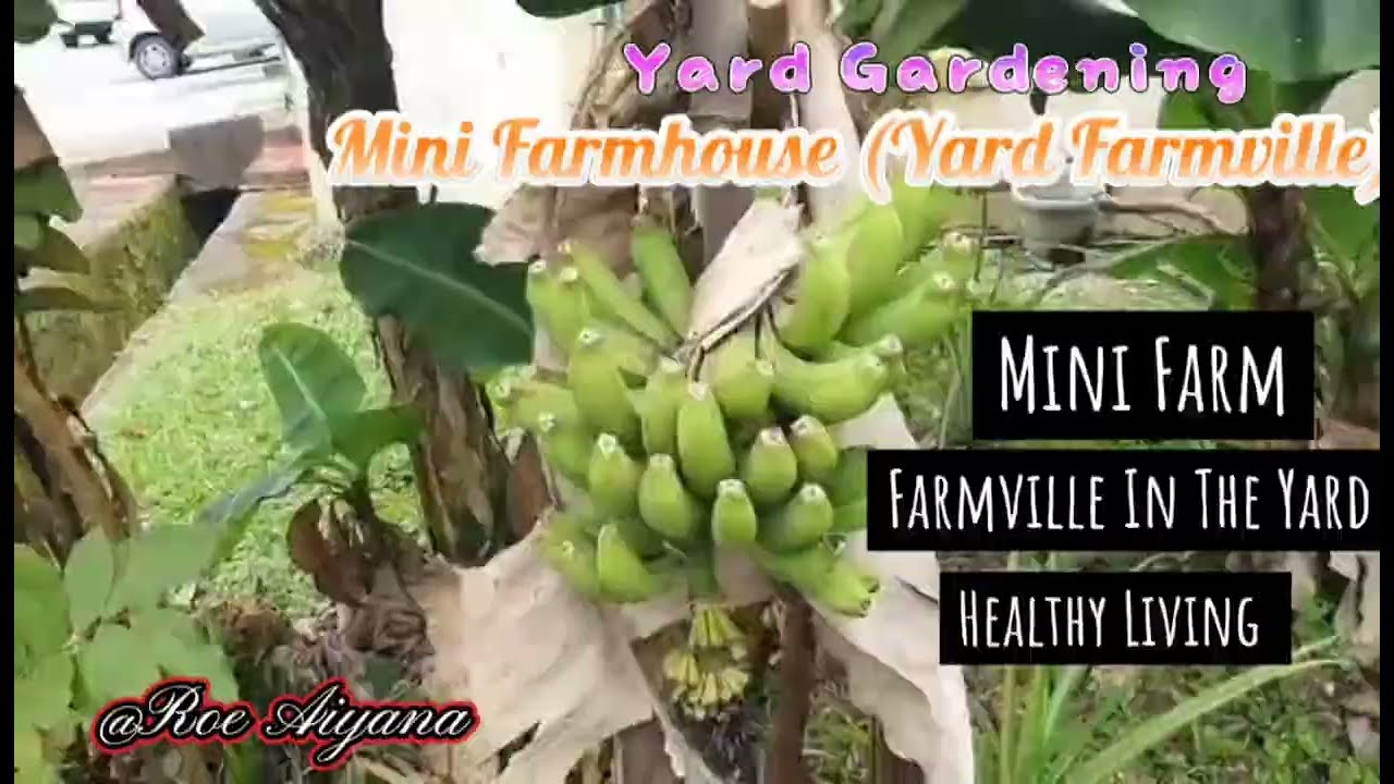 Mini FarmVille Right In The Yard| Home Garden| Garden Fruits ...