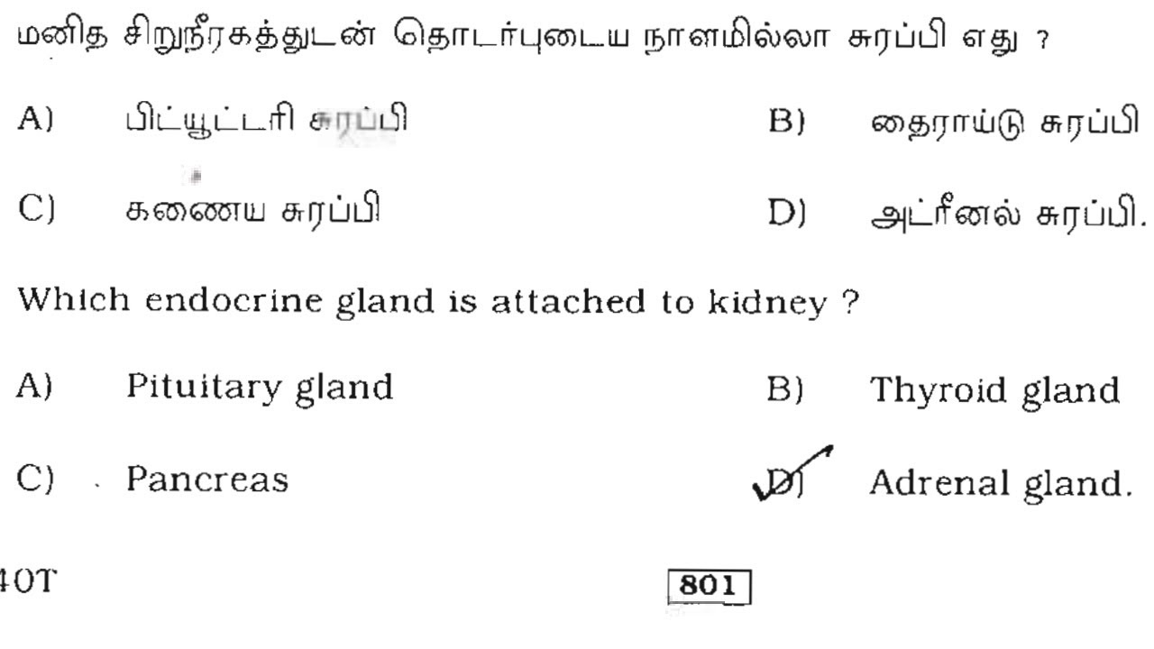 TNUSRB & TNPSC Gk question and answer part 5 - YouTube