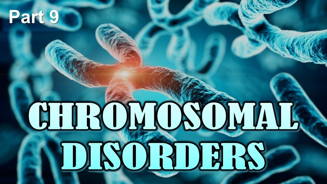 Principles Of Inheritance And Variation Part 9 Genetic Disorders