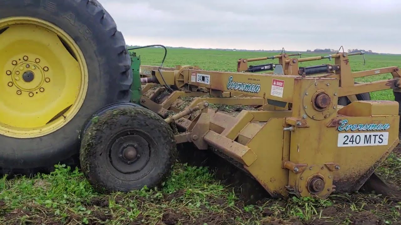Tilling Organic Red Clover for Green Manure. - YouTube