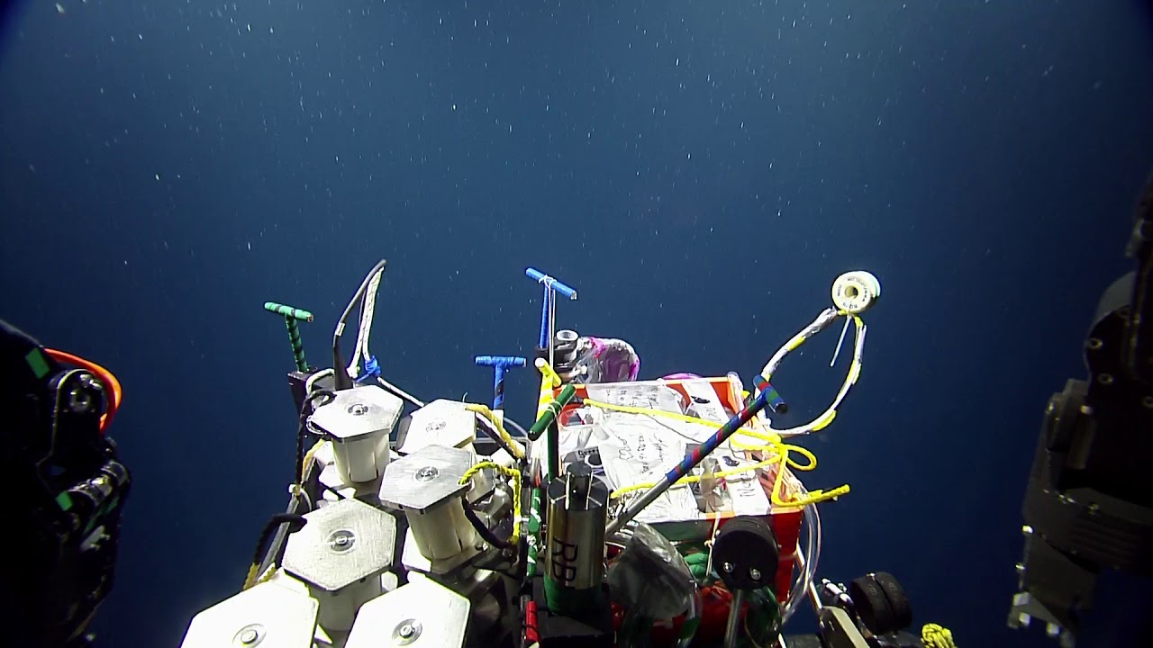 ROV Hercules Dive NA117-H1795-20191014T0713UTC-83 - YouTube