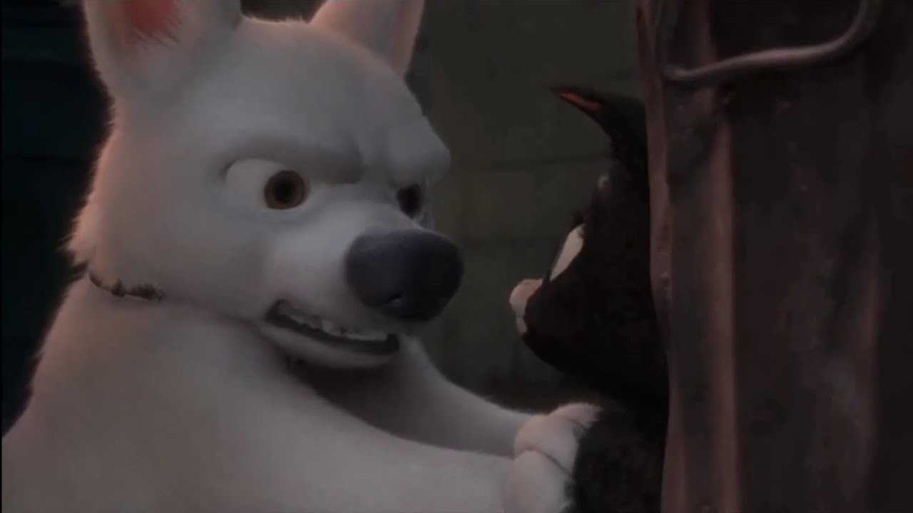 bolt meet mittens - YouTube