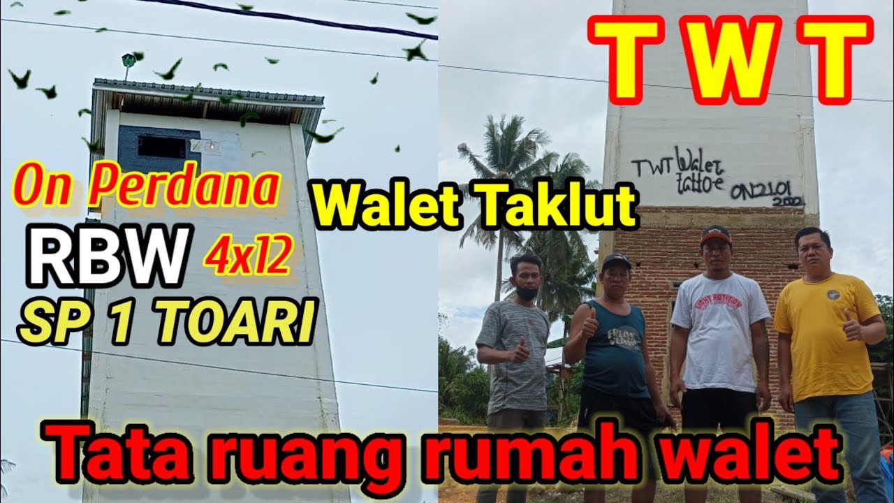 Tata ruang walet ~🔴 ON Perdana Sp Walet Mantap || ukuran 4x12. tiga ...