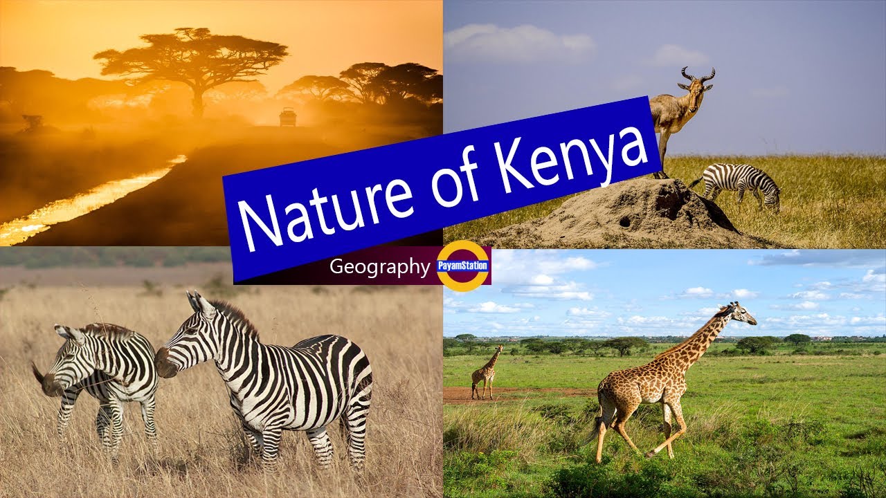 Nature of Kenya - The 10 Best Kenya Nature and Wildlife Areas - YouTube