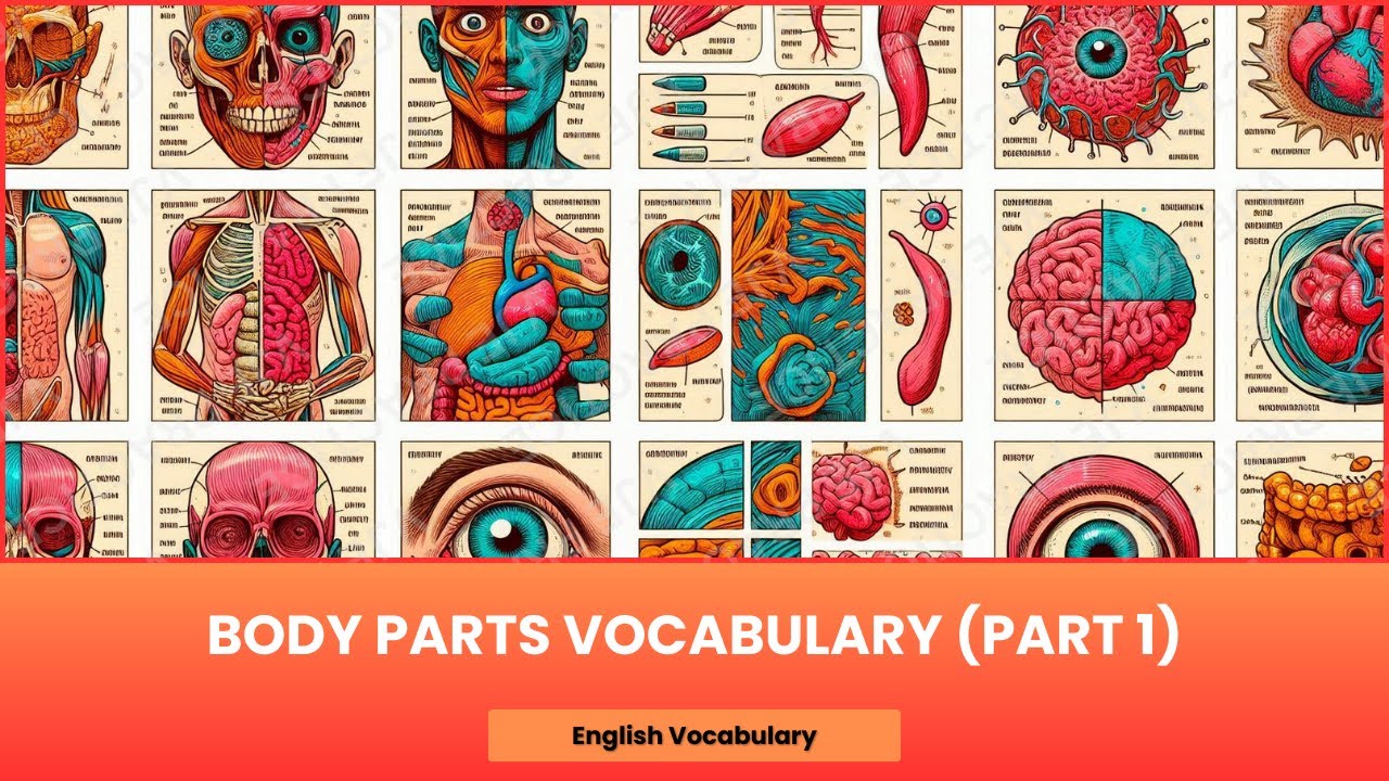 120 English vocabulary with examples | Body Parts Vocabulary Part 1 ...