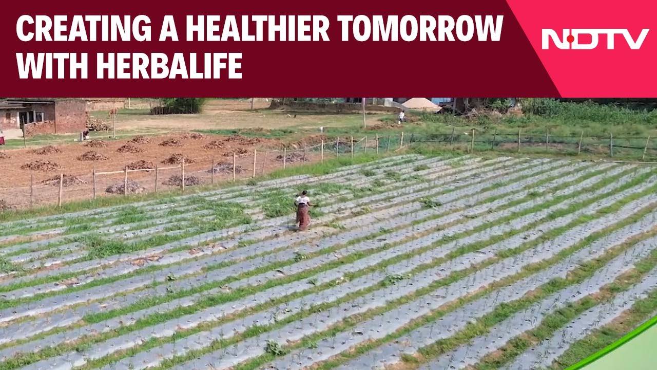 Creating A Healthier Tomorrow With Herbalife - YouTube