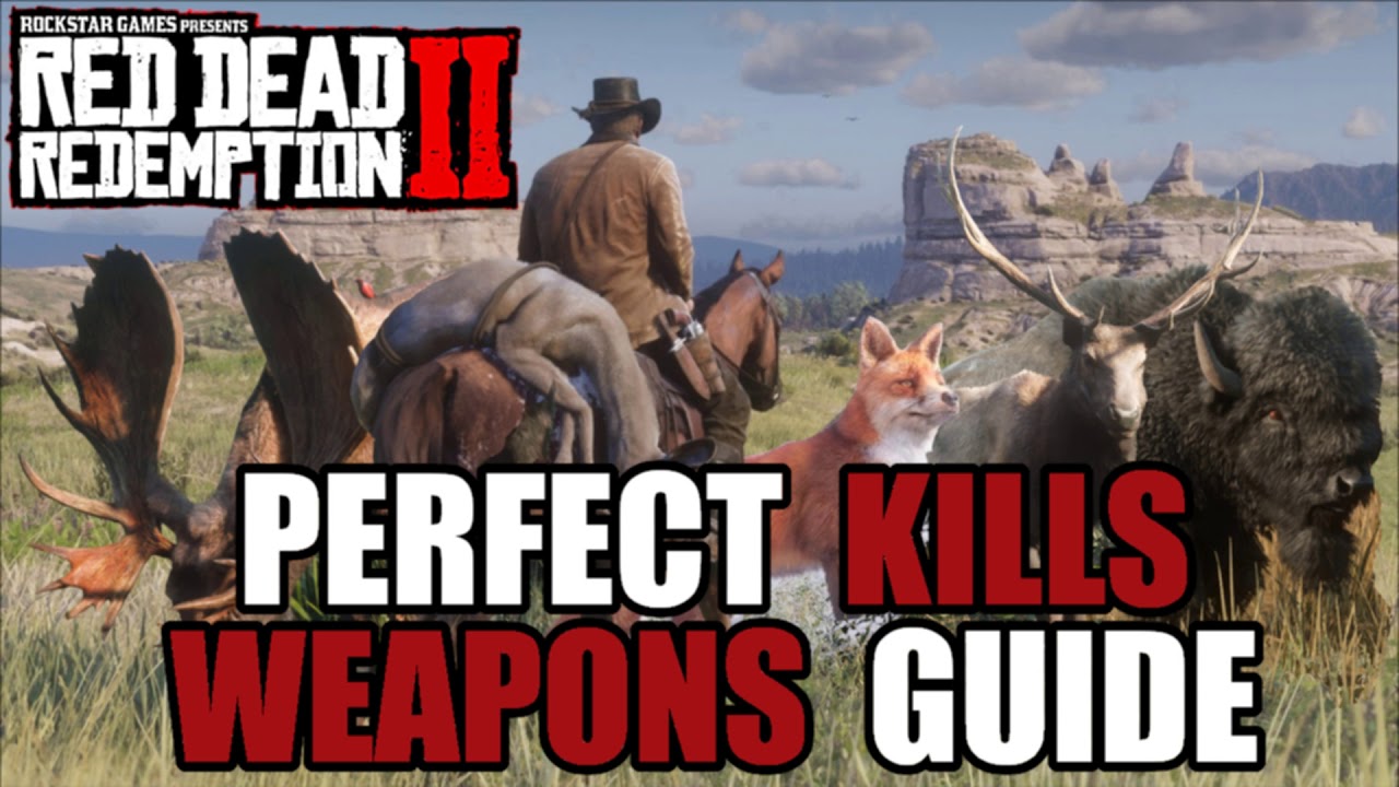"RED DEAD REDEMPTION 2" PERFECT KILLS WEAPONS GUIDE COMPLETE LIST - YouTube