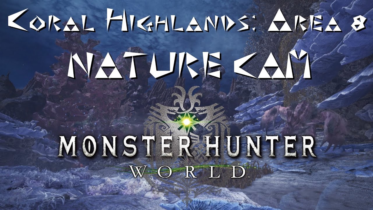 MHW: Coral Highlands: Area 8 (Night to Day) Nature Cam - YouTube