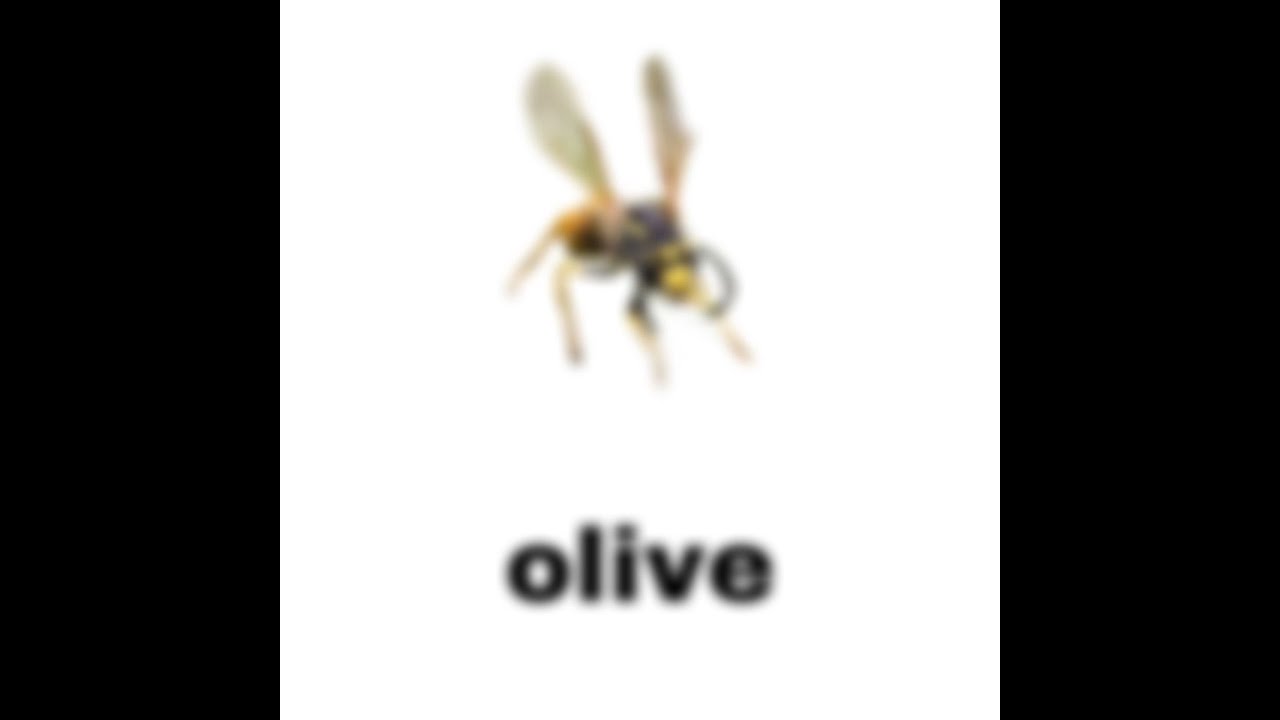 entomologists by ghost and pals but its extremely low quality - YouTube ...