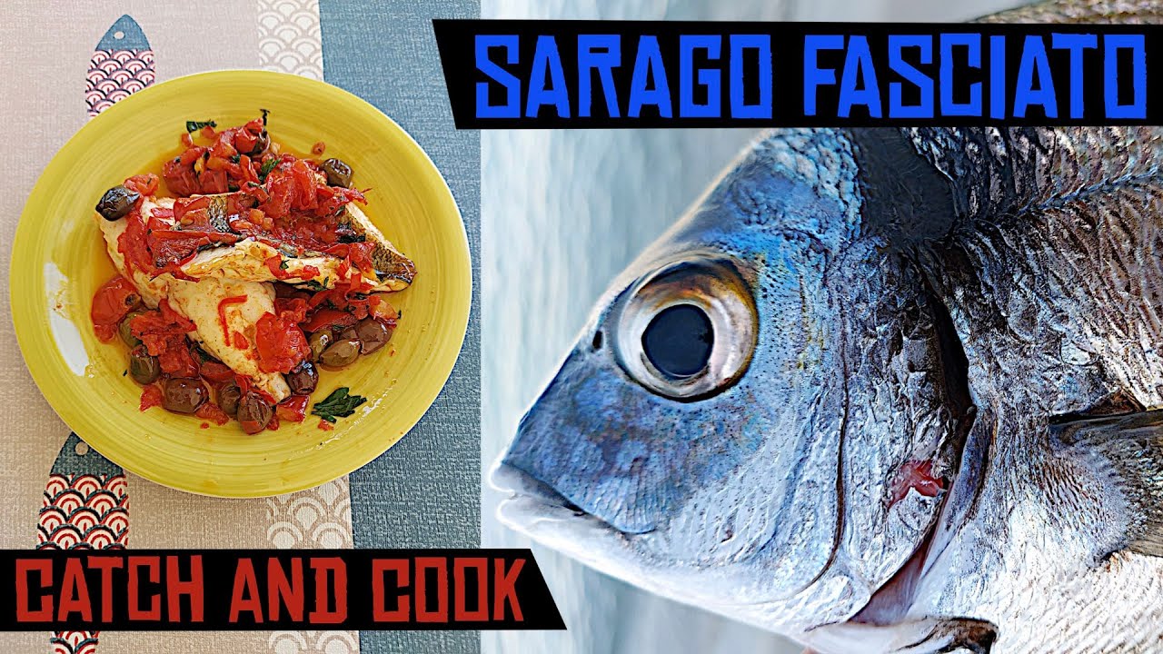 CATCH & COOK di Un SARAGO FASCIATO + Spaghetto alle COZZE di Olbia ...