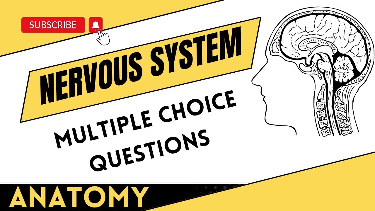 Nervous System Multiple Choice Questions | For all competitive exam ...