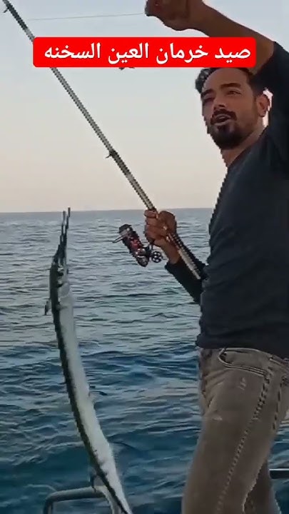 #صيدسمك #fishing صيد الخرمان - YouTube