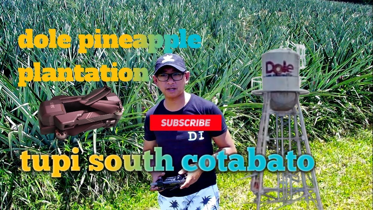 Aerial view|Dole pineapple plantation|tupi south cotabato - YouTube