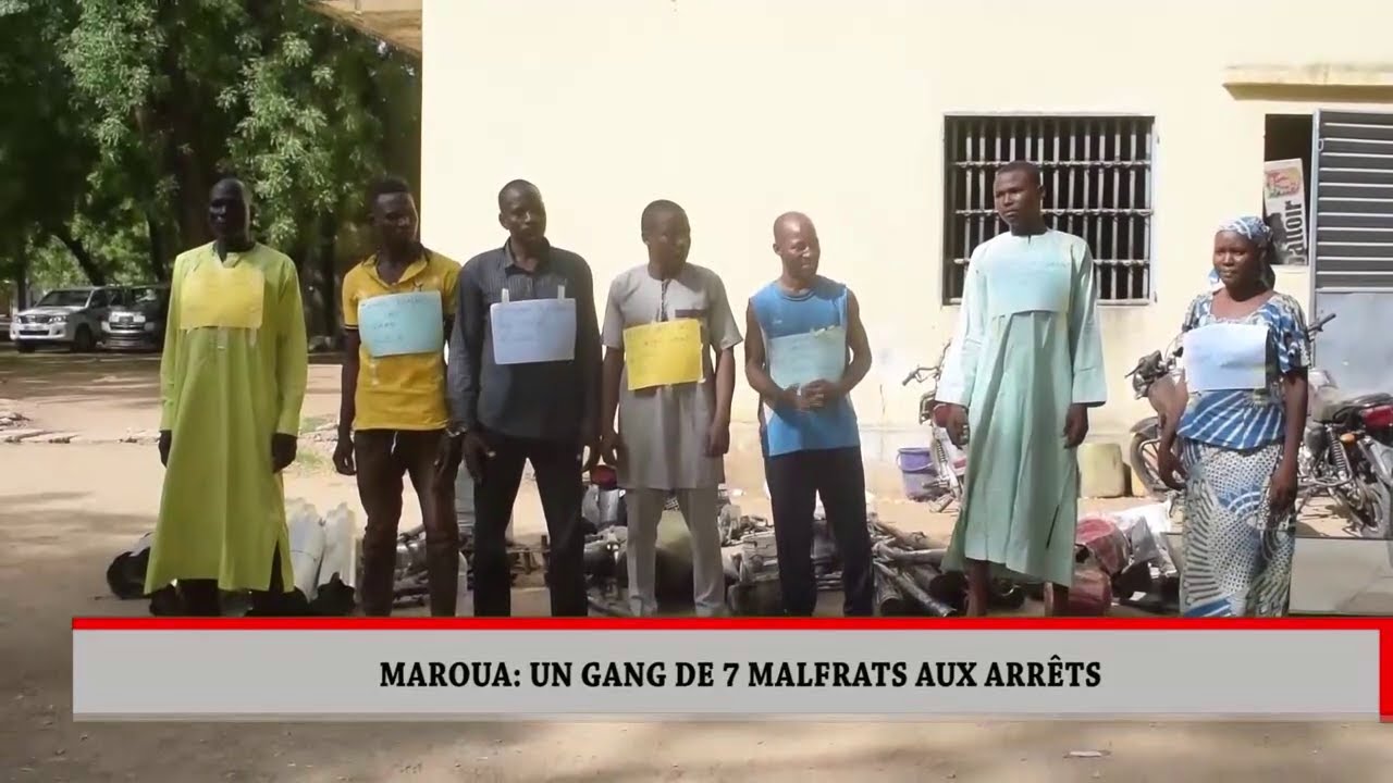 MAROUA : UN GANG DE 7 MALFRATS AUX ARRÊTS - YouTube