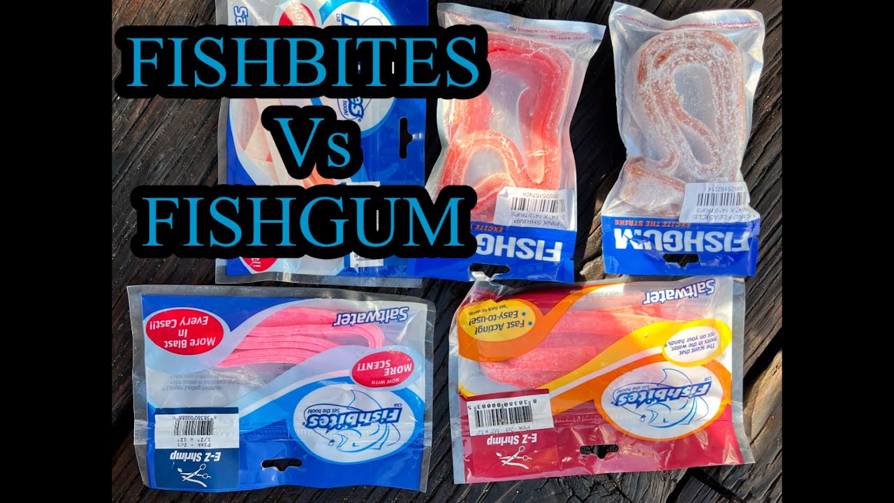 FISHBITES VS FISHGUM #fishingexperiments - YouTube