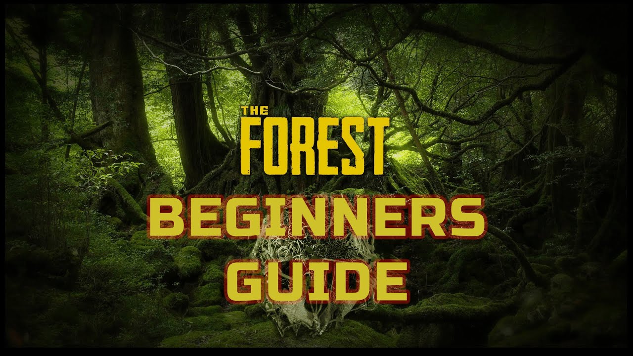 THE FOREST BEGINNERS TIPS PART 3: GUIDE FOR BUILDING, CRAFTING ...