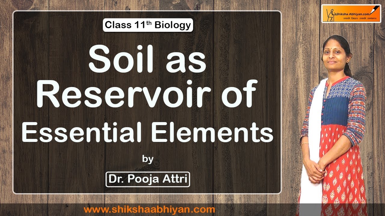 Biology Mineral Nutrition ( Soil as reservoir of essential elements ...