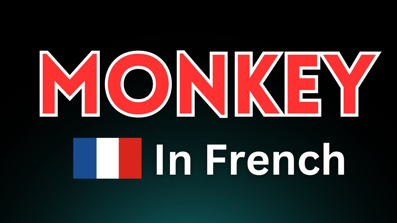 Learn How to Pronounce 'Monkey' in French! Correctly (Animal) - YouTube