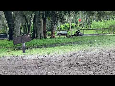Manco Dingo 285 - YouTube
