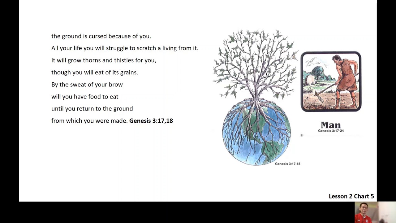 Search For Truth# Lesson 2 Chart 5: Innocence Ends in Judgement - YouTube