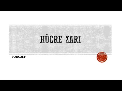 Biyoloji 9. Sınıf 2. ünite 3. podcast hücre zarı