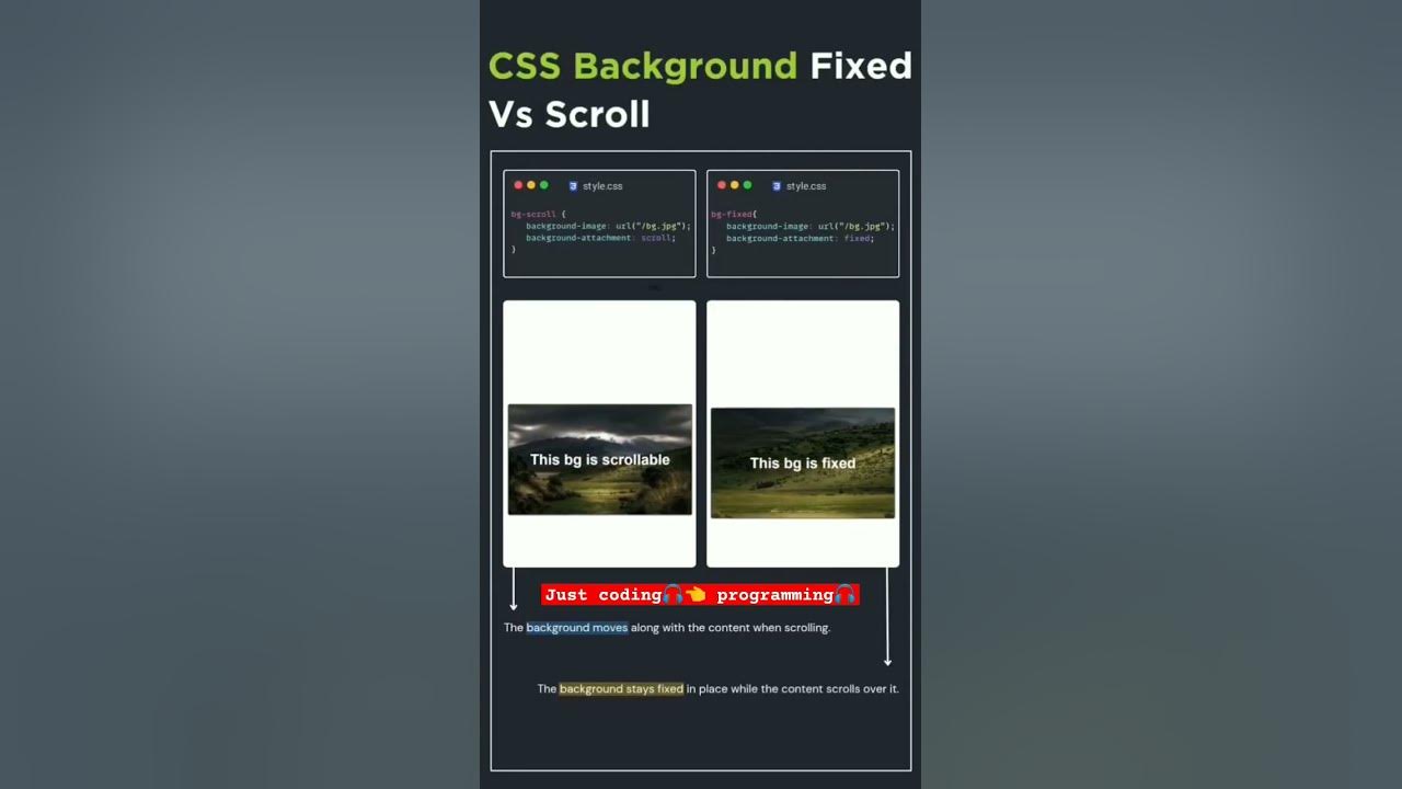 Css Background Fixed Vs Scroll👈🥉coding Html Css Js Tranding🎓🥉