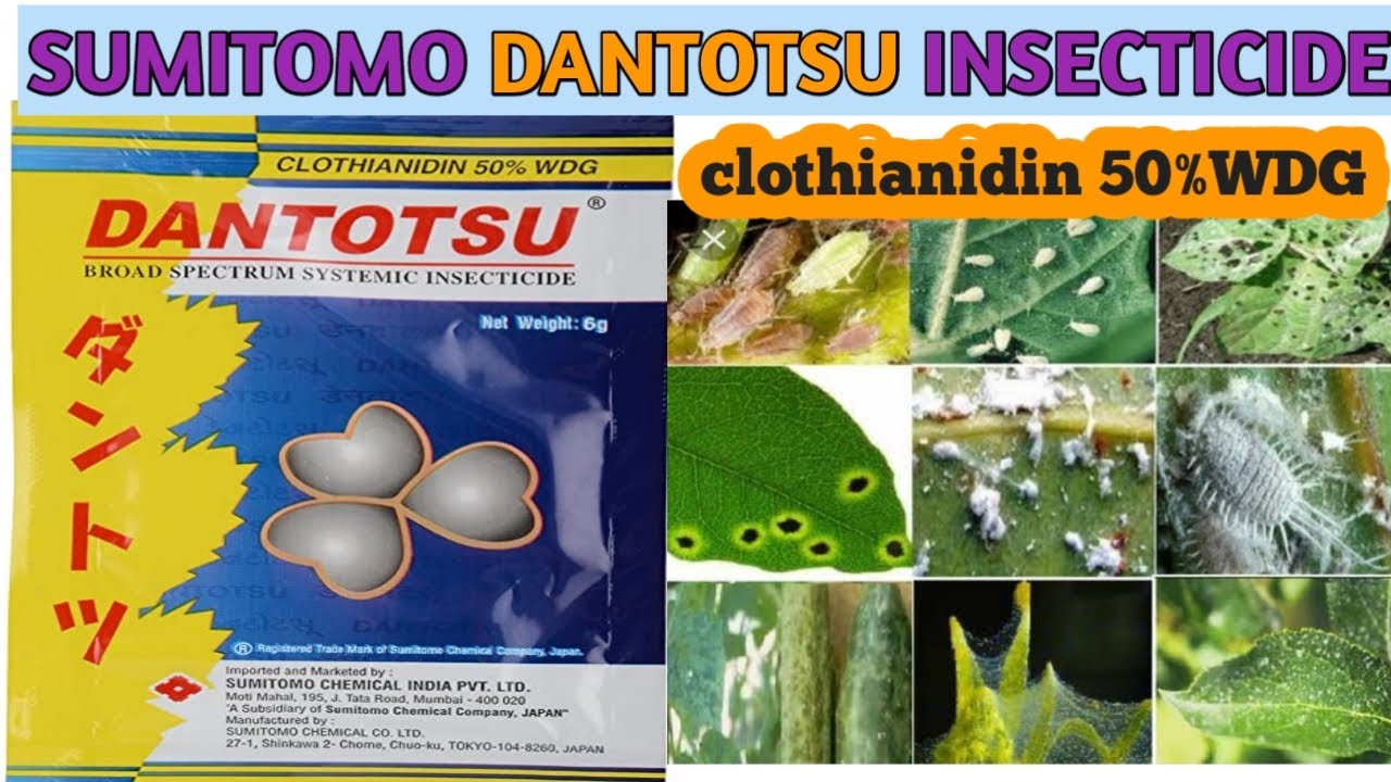 SUMITOMO DANTOTSU INSECTICIDE | clothianidin 50 %WDG | - YouTube