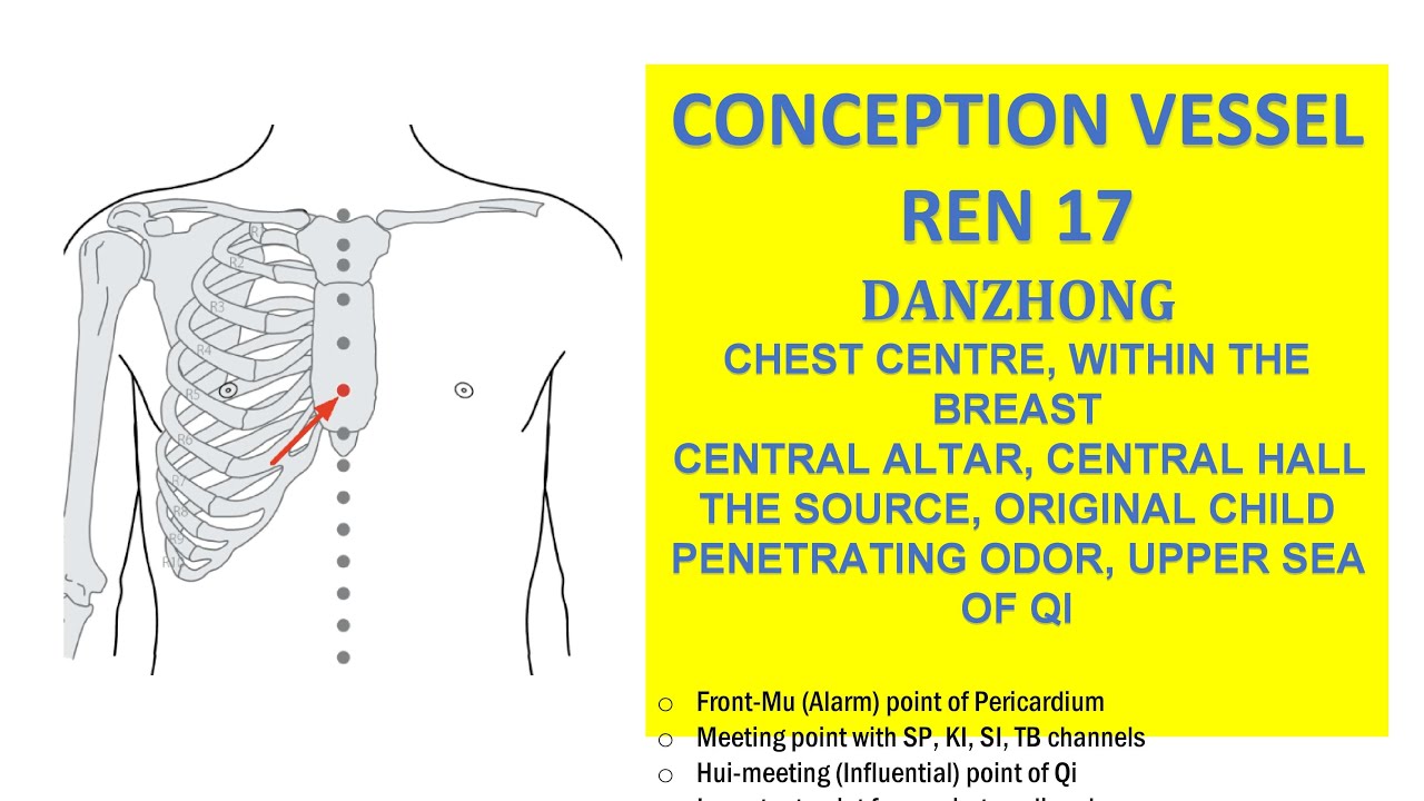 REN (CONCEPTION VESSEL) 17 DANZHONG (CHEST CENTRE, WITHIN THE BREAST ...